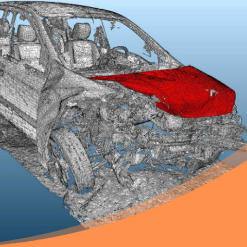 21st Century Forencic Animations | Oldest Independent Forensic ...